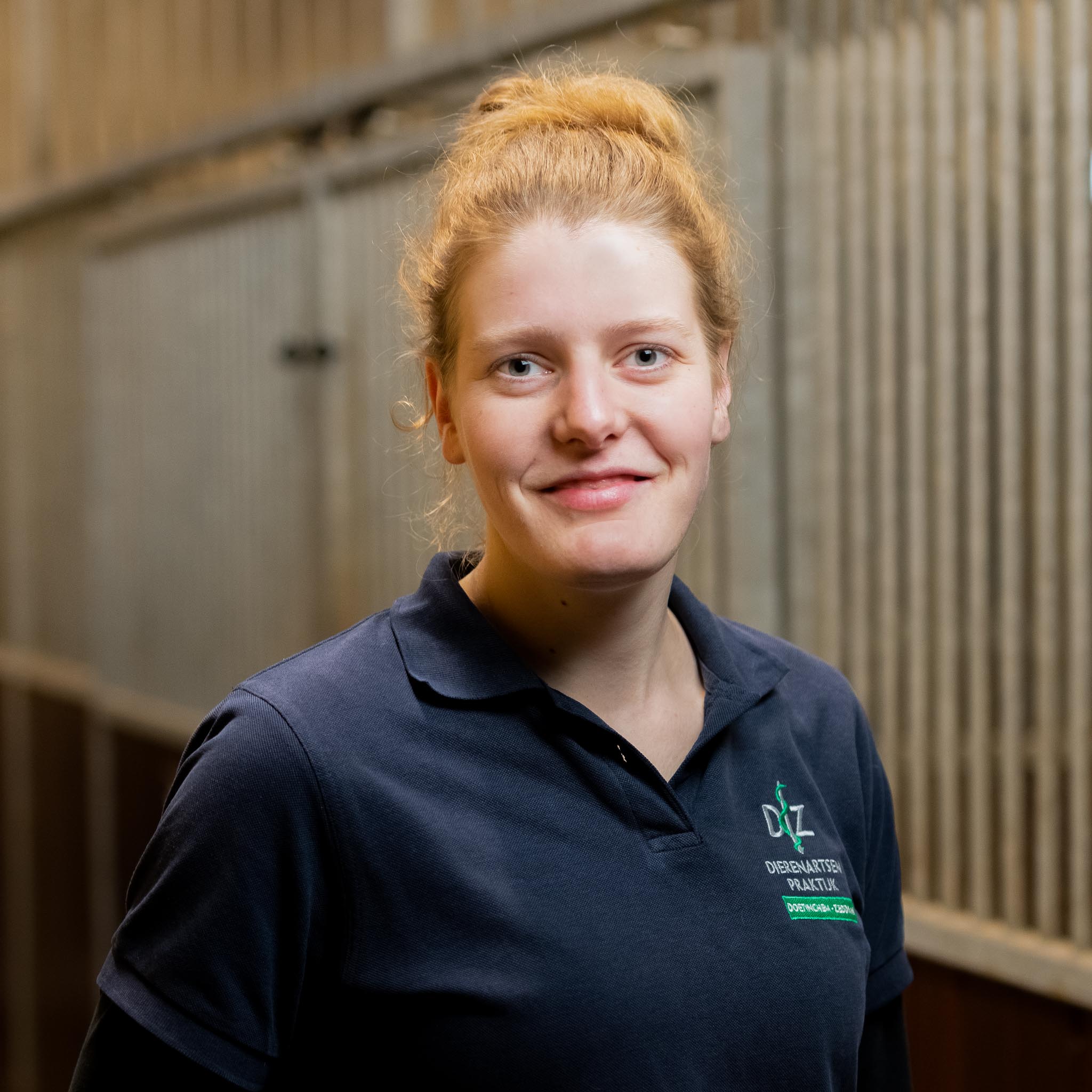 Ellen Meijer - Dapdz